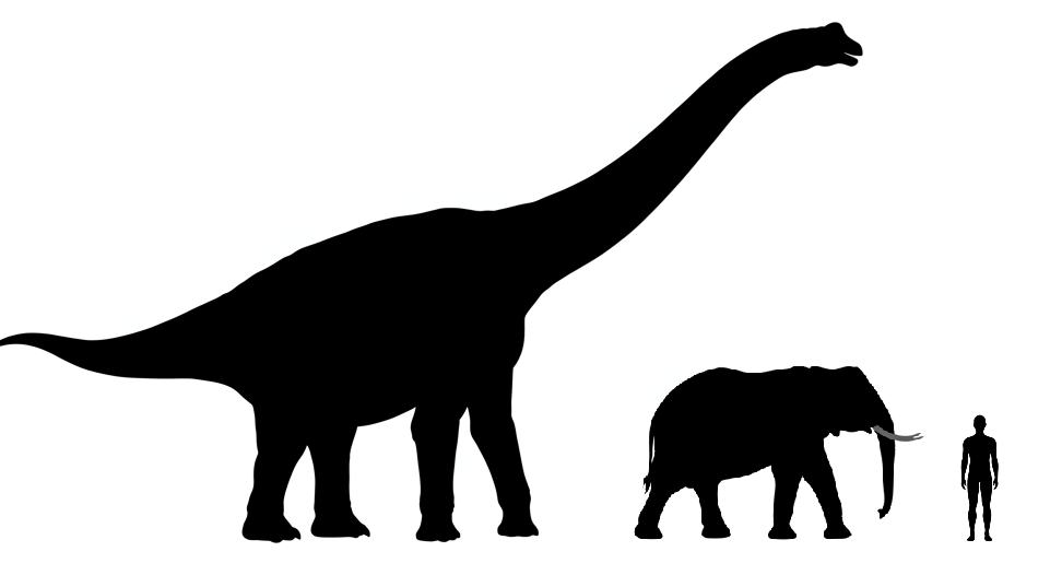 ヌーロサウルス（Nurosaurus）- 恐竜図鑑 – 恐竜マニア